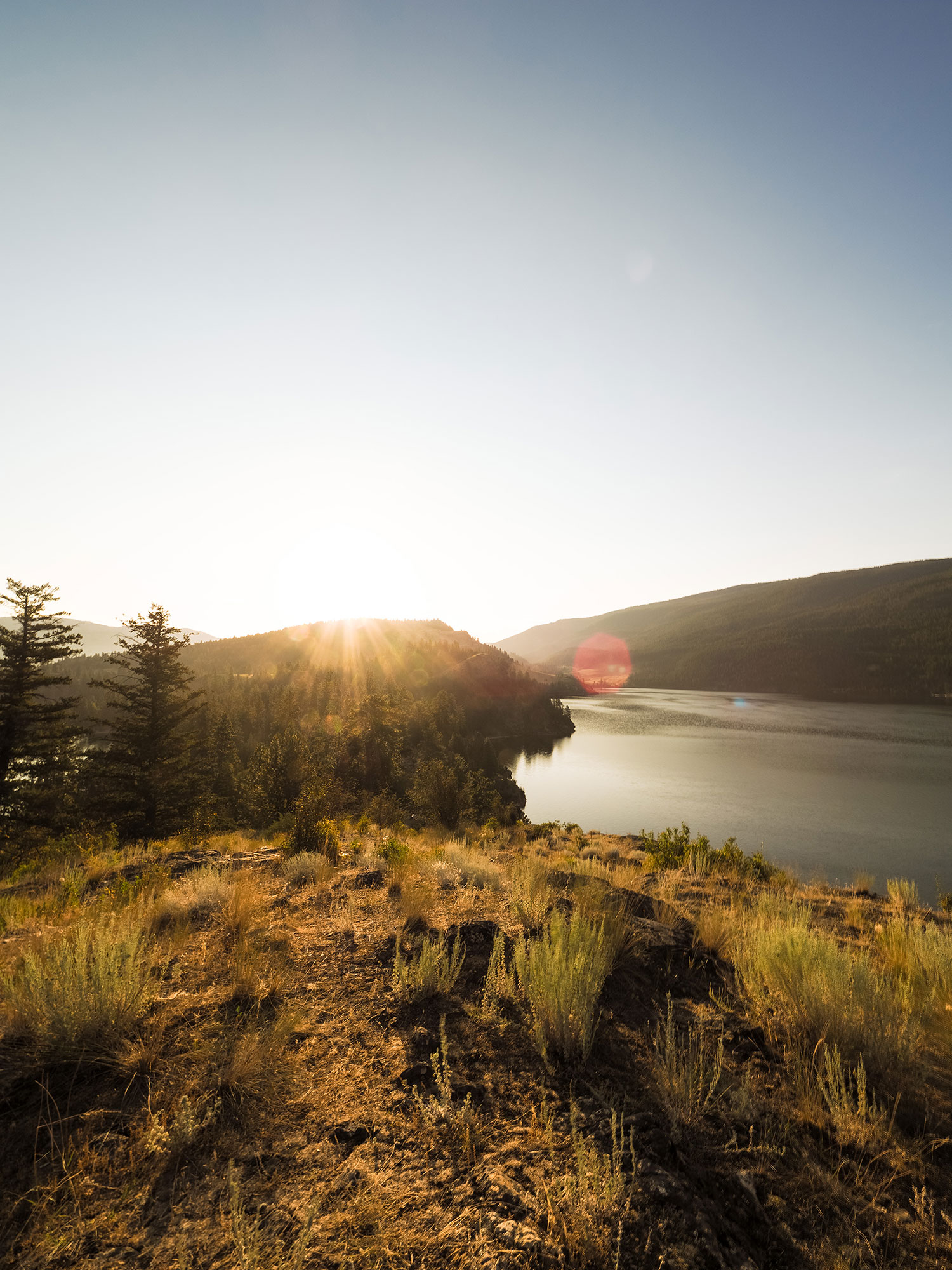 Revenue Sharing: What’s the right way to apply it in a 401(k) Plan ...